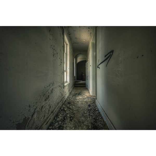 Walking on the Ceiling | The Asylum - Lost Collective