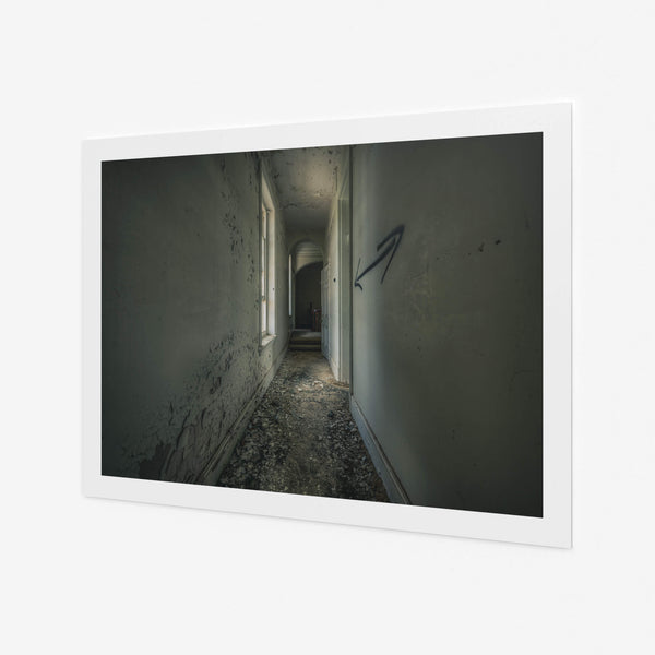 Walking on the Ceiling | The Asylum - Lost Collective