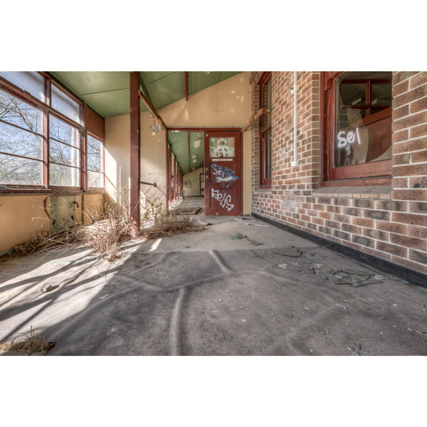 Indoor Plants | Waterfall Sanatorium - Lost Collective