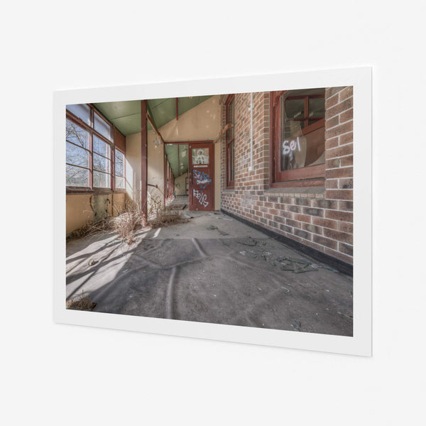 Indoor Plants | Waterfall Sanatorium - Lost Collective